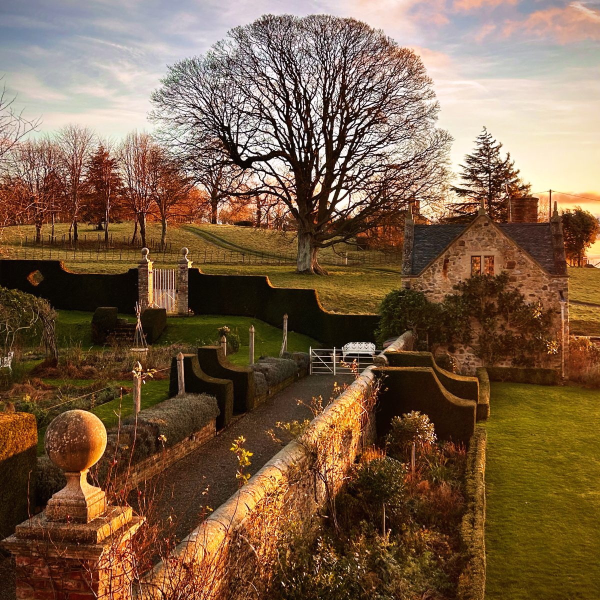 About Us - The Courtyard